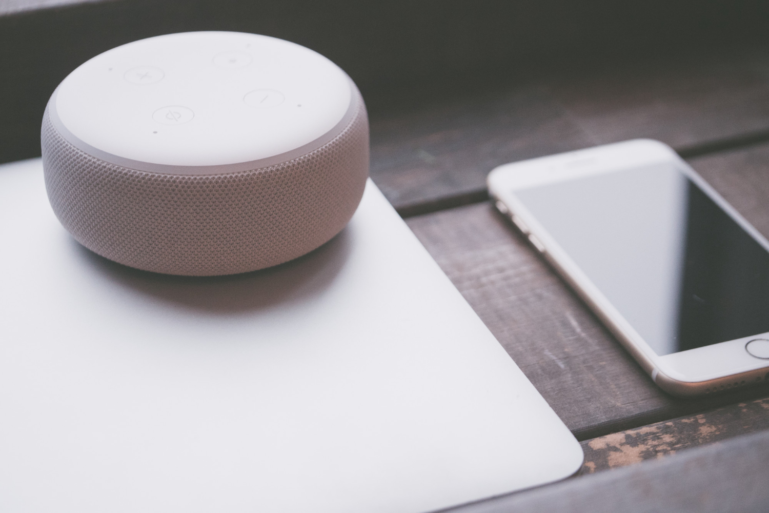 Top 5 loa bluetooth mini chất lượng nhất hiện nay - OLLI Technology