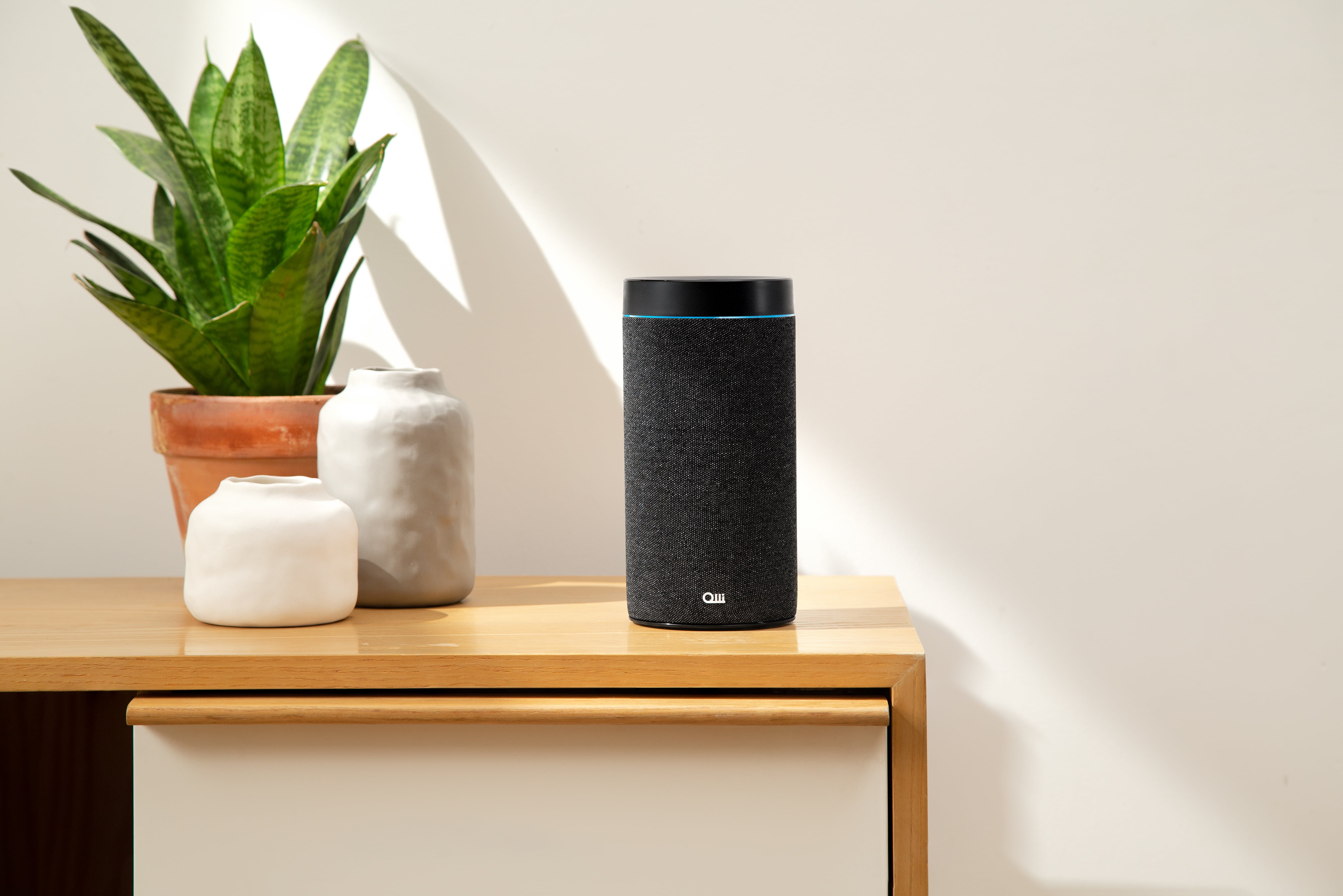 Những điều cần biết về loa thông minh - OLLI Technology